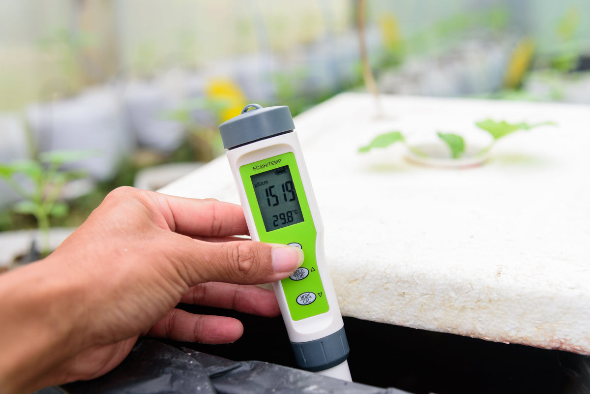 5 Essentials For Your Hydroponic Setup - Grow Like a Pro! — Fran's ...