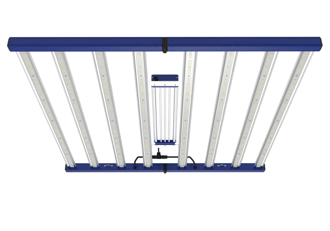 Grand Master LED (GML) Tarantula Torch 730W — Fran's Hydroponics