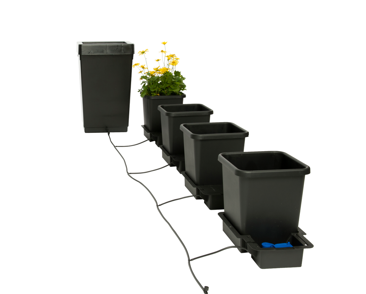 NUTRIFIELD AUTOFEED 4 POT (15L) SYSTEM BOXED — Fran's Hydroponics