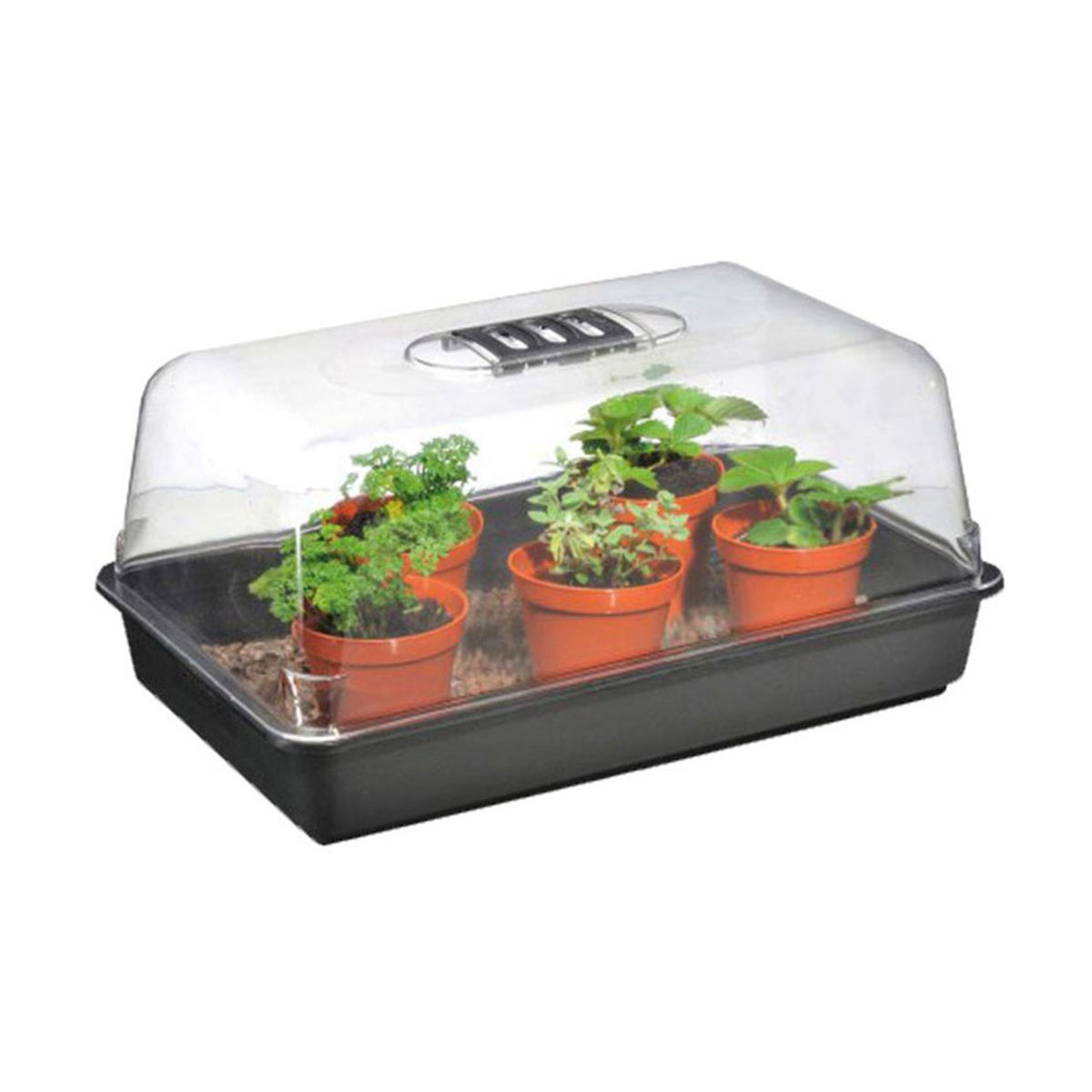 GARLAND PREMIUM PROPAGATOR BOXED KIT — Fran's Hydroponics